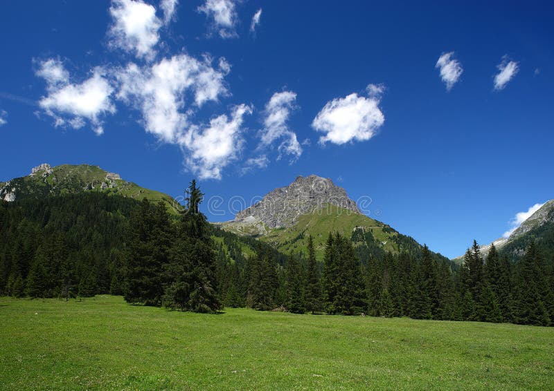 Gaver stock image. Image of tree, grass, green, alps - 11240205