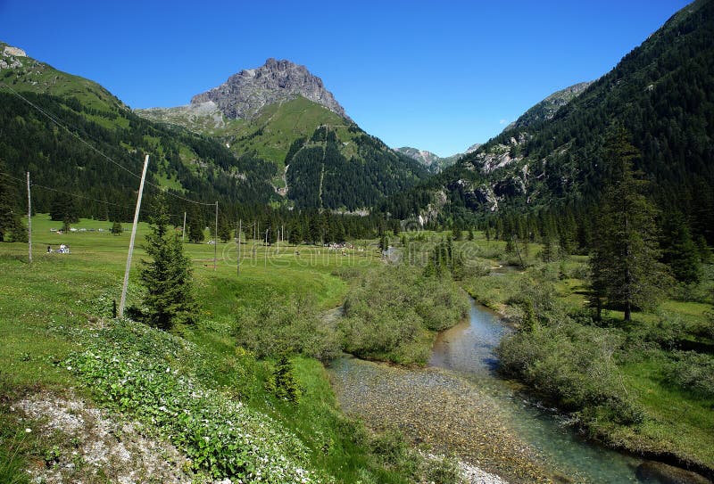 Gaver stock photo. Image of ecology, grassland, hill - 11289768