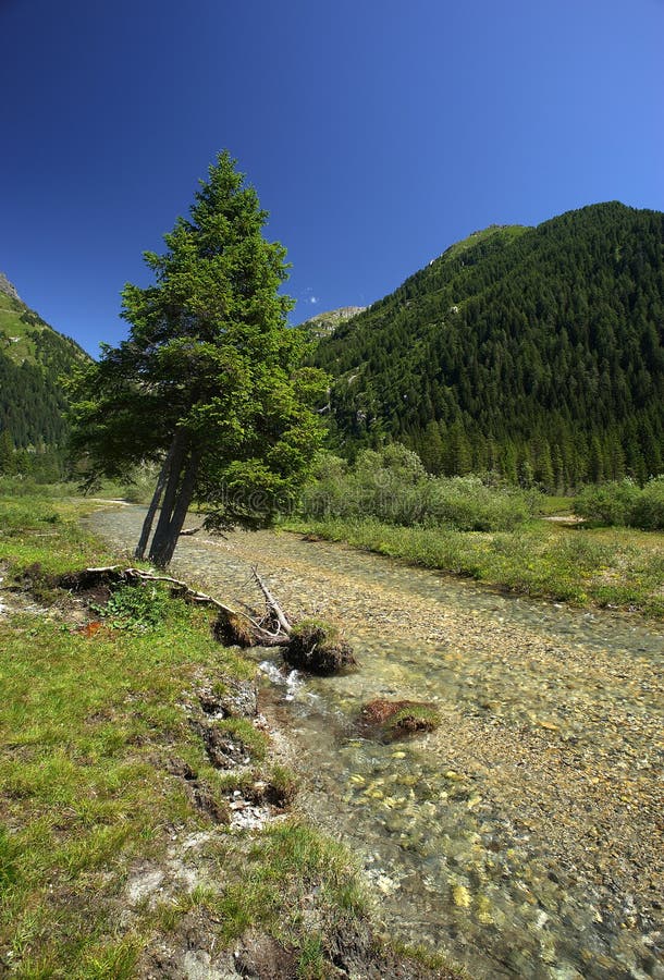 Gaver stock image. Image of ecology, shrubland, fell - 11301561
