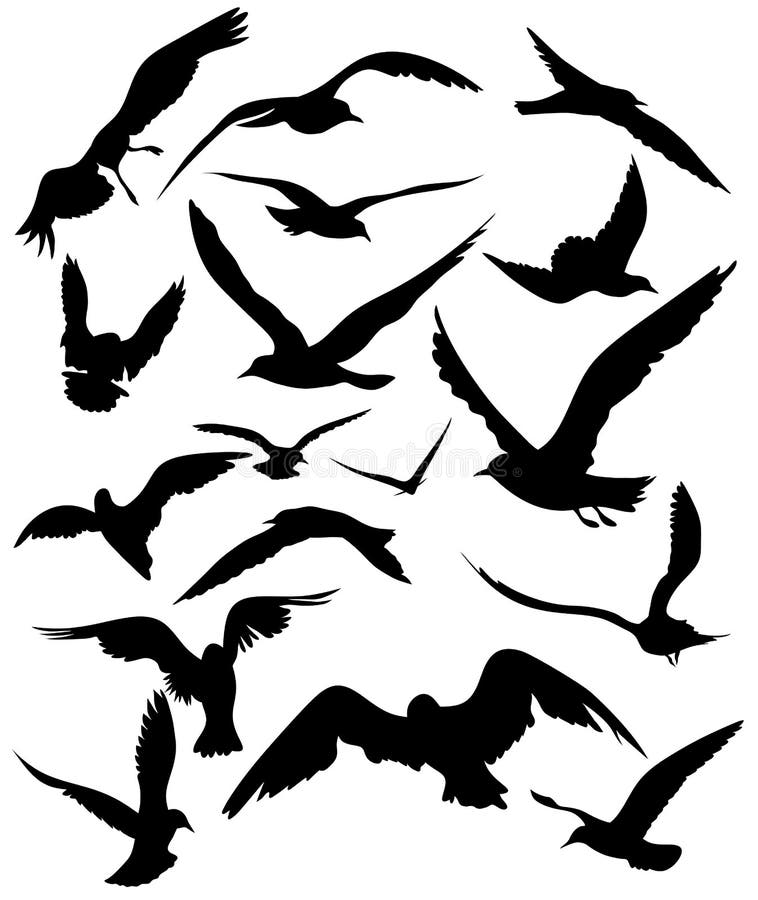 Gaviotas ilustración del vector. Ilustración de libertad - 24039452