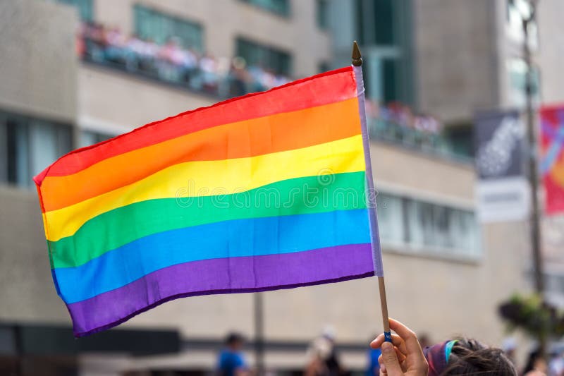 Gay rainbow flag editorial photography. Image of hand - 98732852