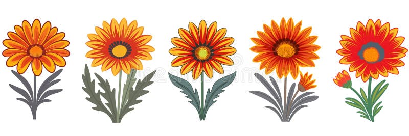 Five Variations of a Blooming Gazania Flower Illustration with a ...