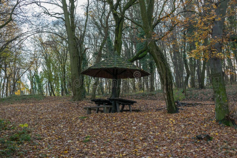 Gazebo in forest stock photo. Image of color, beautiful - 82770888