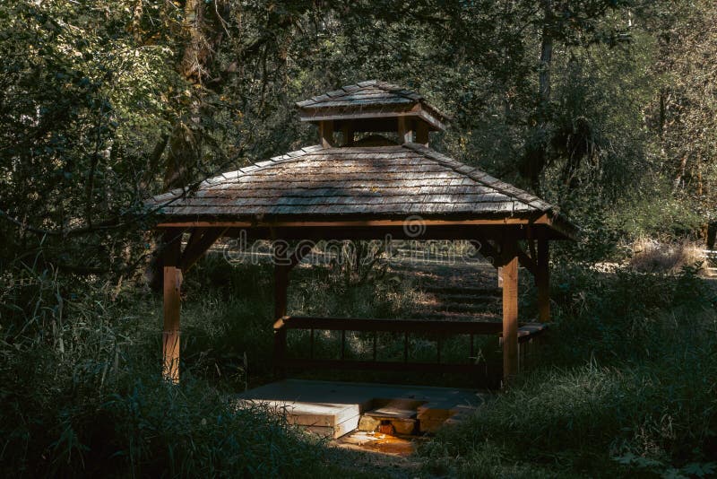 Gazebo in the Middle of a Forest Surrounded by Lush Greenery Stock ...