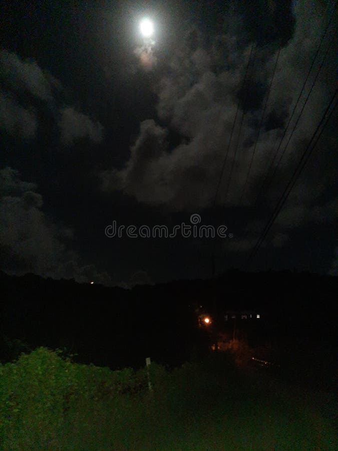 The gazer stock image. Image of clouds, trees, night - 164517443