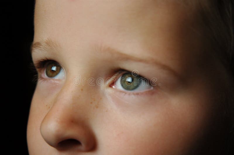 Gazing Eyes stock photo. Image of faces, potrait, childs - 46566