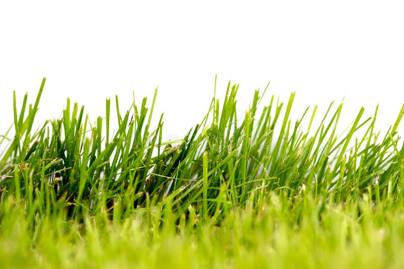 Gazon stock foto. Image of ruimte, toewijzing, groen - 96546098