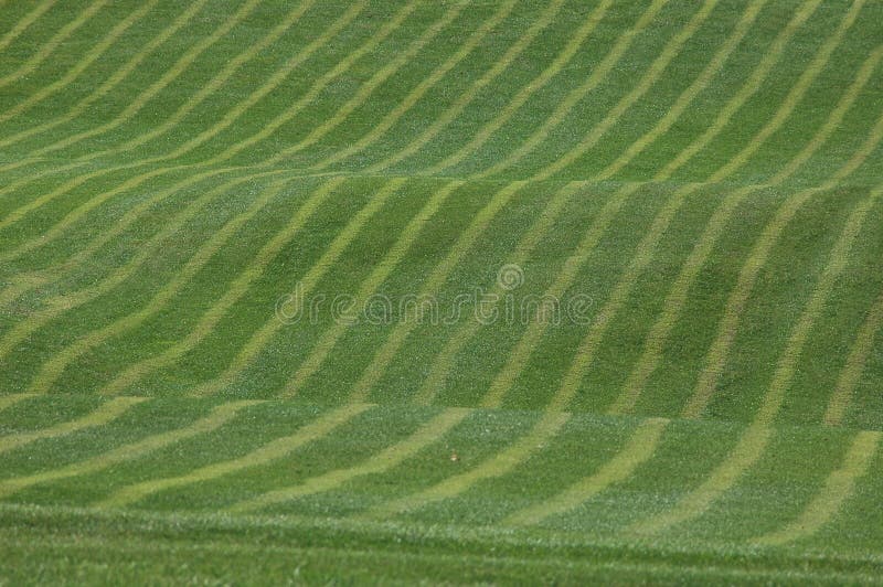 Gazon de golf photo stock. Image du bille, ferme, campagne - 1373818