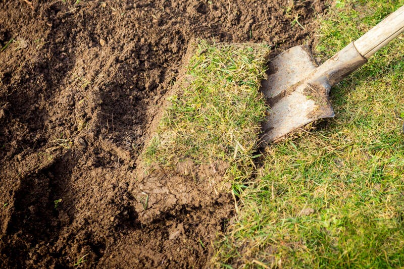 Man Die Graf Graaft En Vuil Omkeert. Voorbereiding Van De Bodem Rond De ...