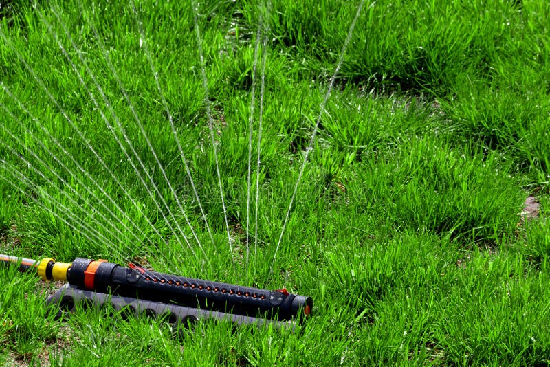 Gazon met sproeier stock foto. Image of gebied, zomer - 19408508