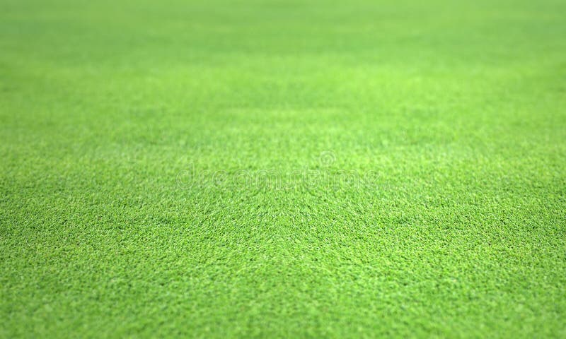Gazon Parfait De Pelouse De Vert De Golf Photo stock - Image du niveau ...
