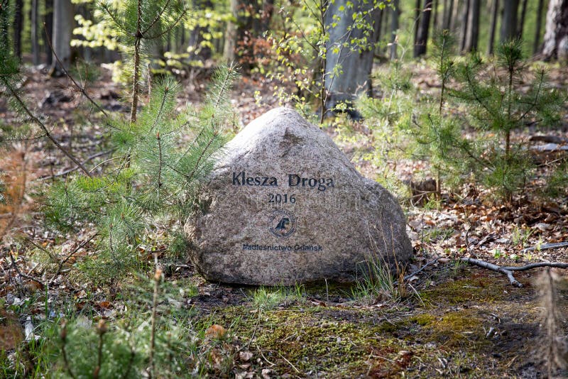 Gdansk, Poland 05 May 2020; a Stone in the Forest Which is a Sign of ...