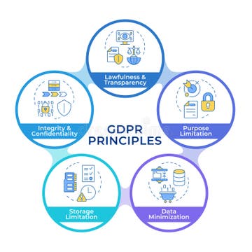 GDPR Principles Infographic Circles Flowchart Stock Vector ...
