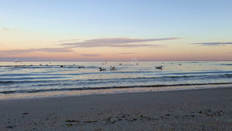 Gdynia Beach in the Colors of the Setting Sun Stock Photo - Image of ...
