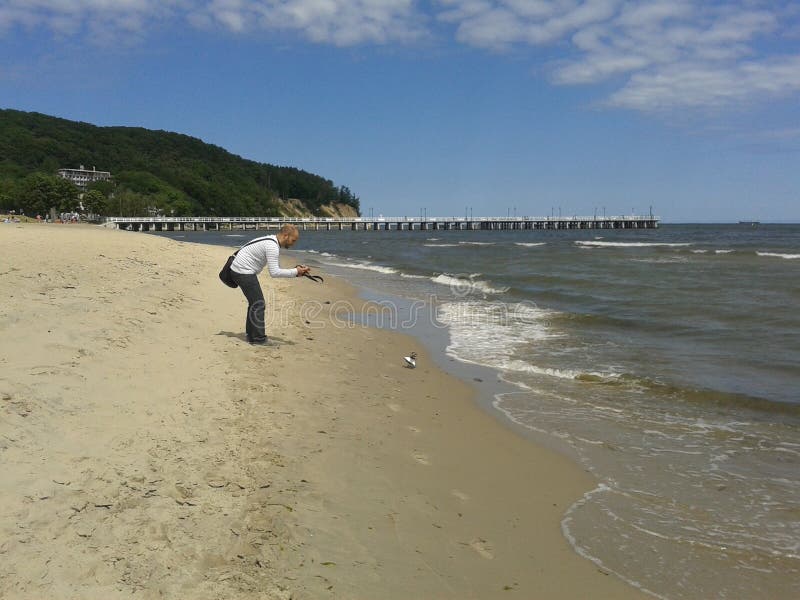 Gdynia beach stock image. Image of polish, natural, poland - 41663539