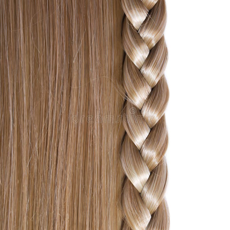 Lange zwarte vlecht stock foto. Image of glanzend, achtergrond - 20298318