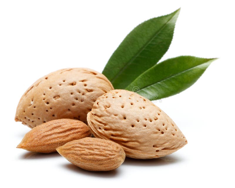 Open Amandelnoot Met Bladeren Stock Foto - Afbeelding bestaande uit ...