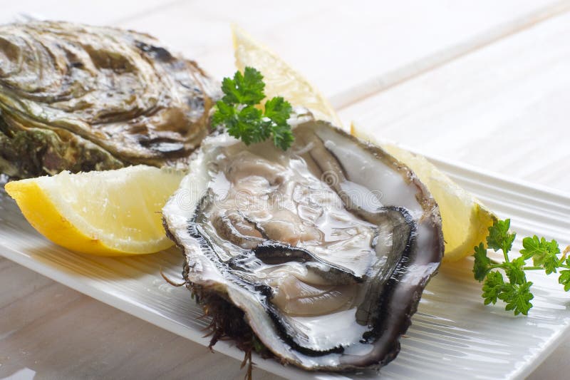 Auster, Muschel Oder Miesmuschel Stockfoto - Bild von miesmuschel ...