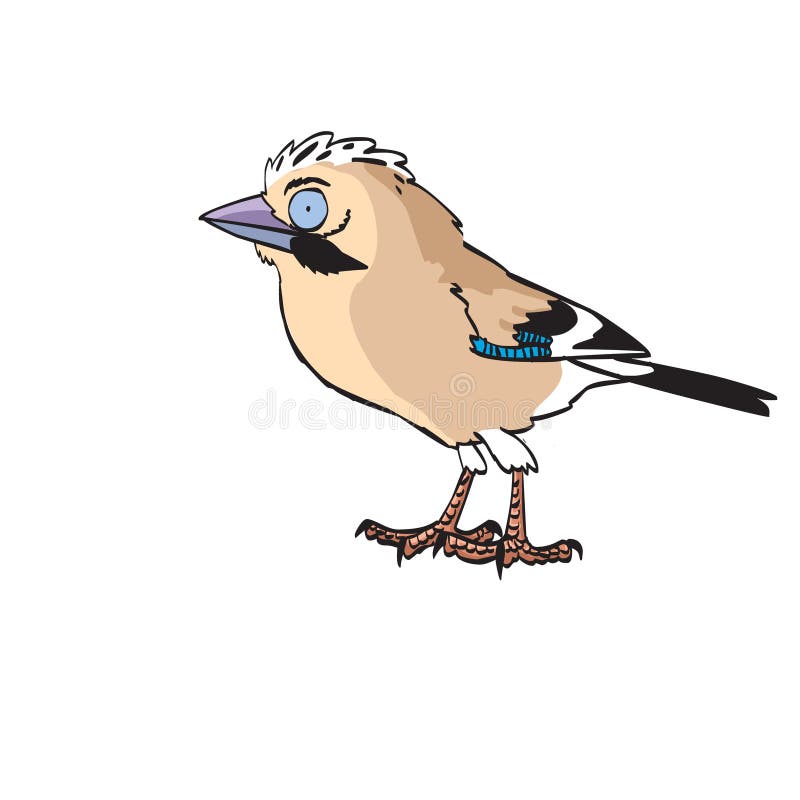 Geai eurasien Toon illustration stock. Illustration du bleu - 58345735