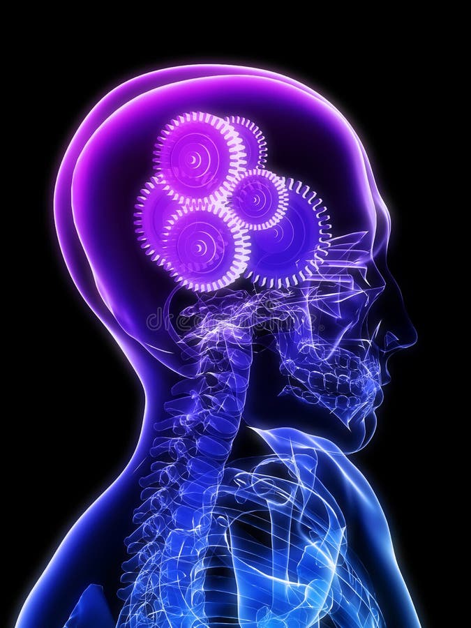 Gears in brain stock illustration. Illustration of contemplation - 4155358
