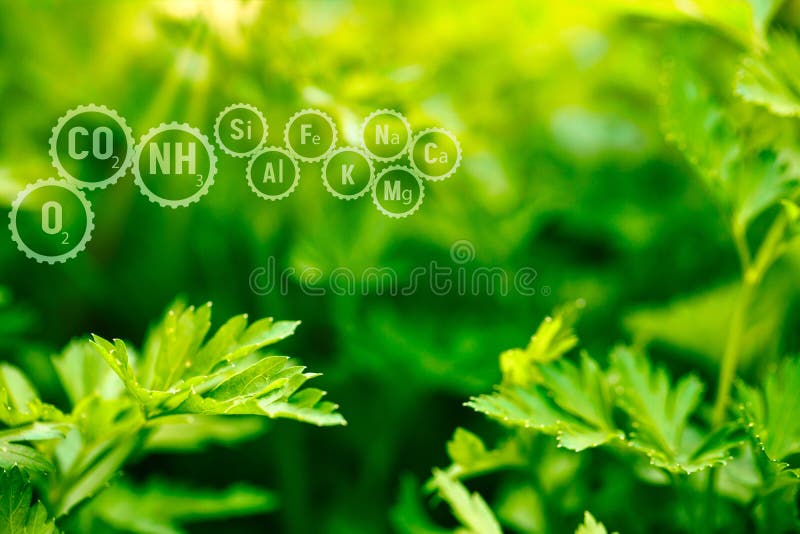 Gears with Trace Elements are the Nutrients in the Soil for Abundant ...