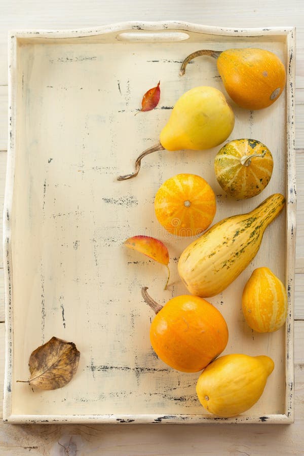 Geassorteerde Sierpompoenen Stock Foto - Image of regeling, najaar ...