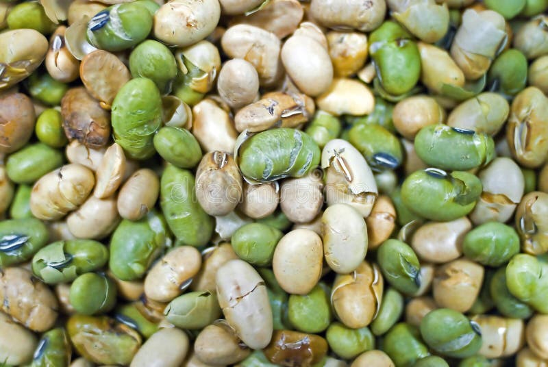 Gebakken Sojaboon stock foto. Image of onrijp, smakelijk - 13359910