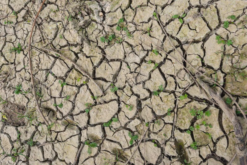 Gebarsten Kleigrond Met Kleine Installaties Stock Afbeelding - Image of ...