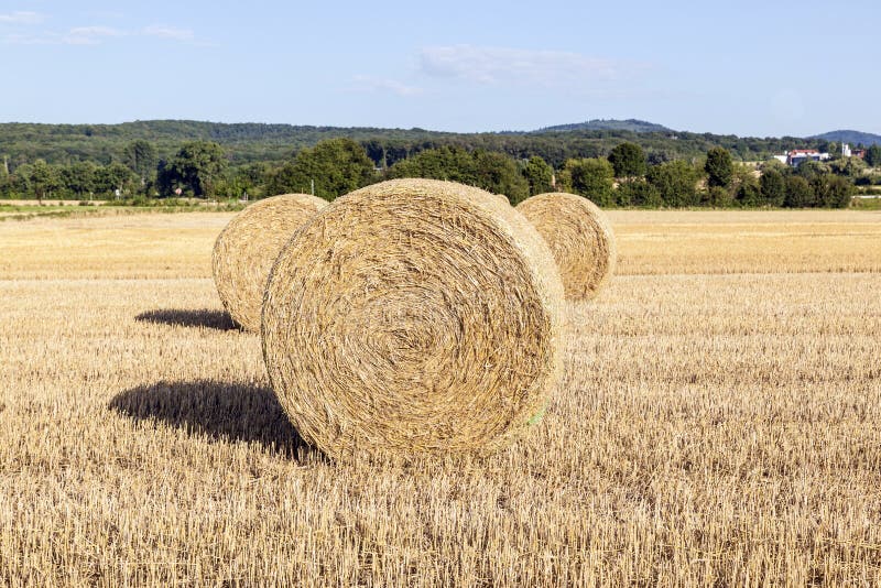 Balen van stro stock foto. Image of nietje, weide, gestapeld - 47936084