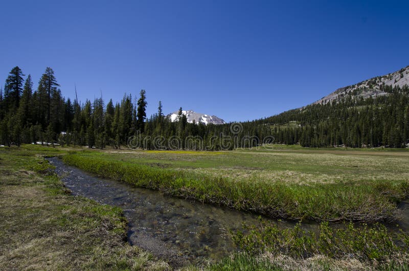 Gebirgsspitze Mit Dem Schnee Angesehen Von Einer Wiese Stockbild - Bild ...