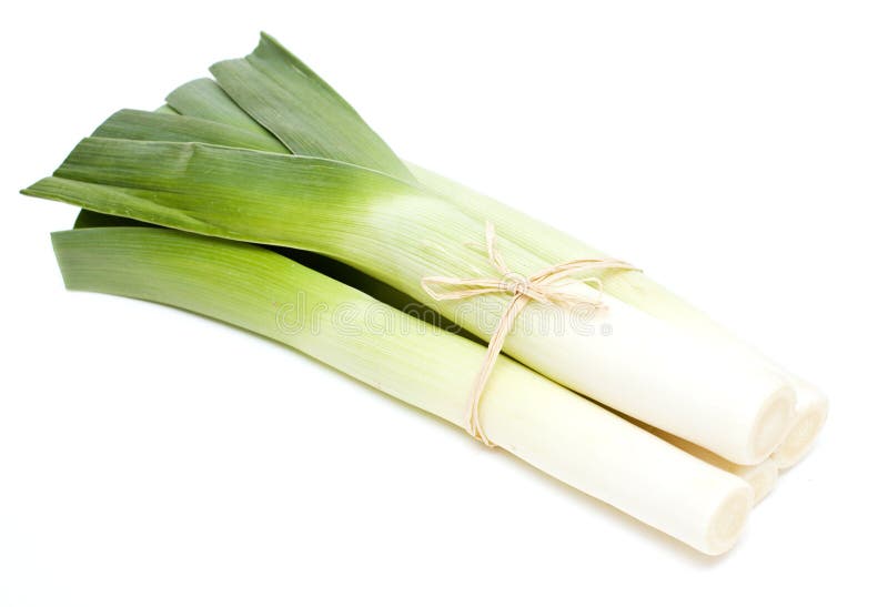 Gebonden prei stock afbeelding. Image of knipsel, niemand - 18583423
