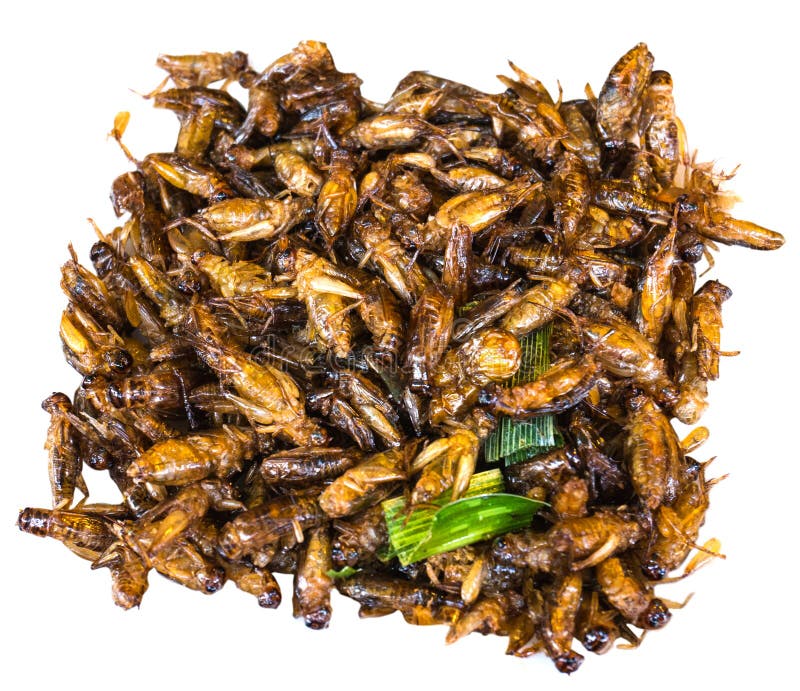 Gebraden Sprinkhaan, Gebraden Insect, Thais Voedsel Stock Foto - Image ...