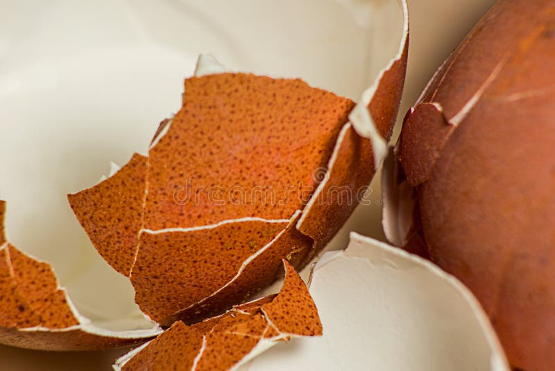 Gebrochene Eierschale Zeichnete Mit Rot, Konzept Gegen Abtreibung Und ...