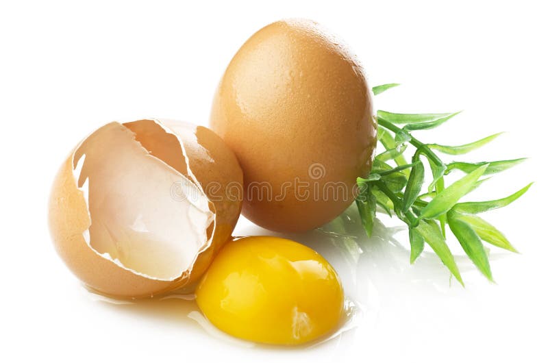 Gebroken kippenei stock foto. Image of geïsoleerd, nuttig - 19204000