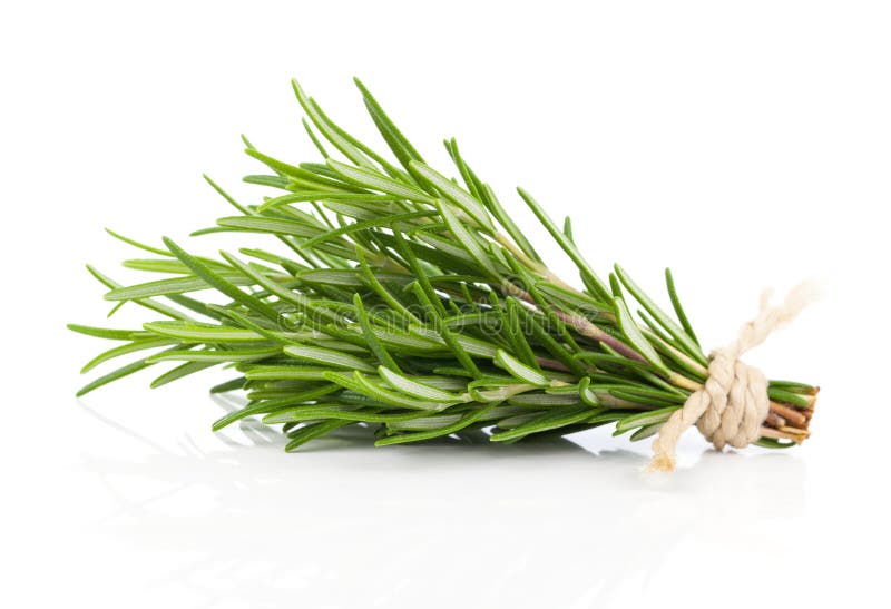 Frischer Rosmarin stockbild. Bild von kräuter, würzig - 7017451