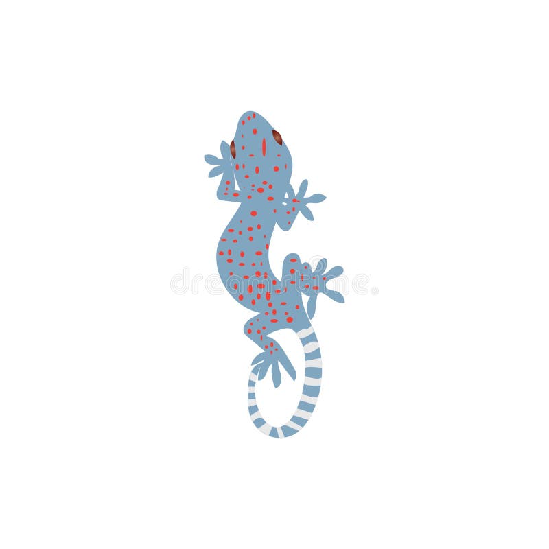 Gecko design vector stock vector. Illustration of fauna - 202727278