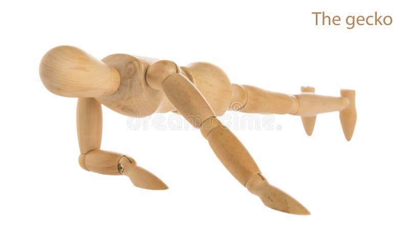 Gecko exercise pose stock image. Image of leisure, male - 89647353