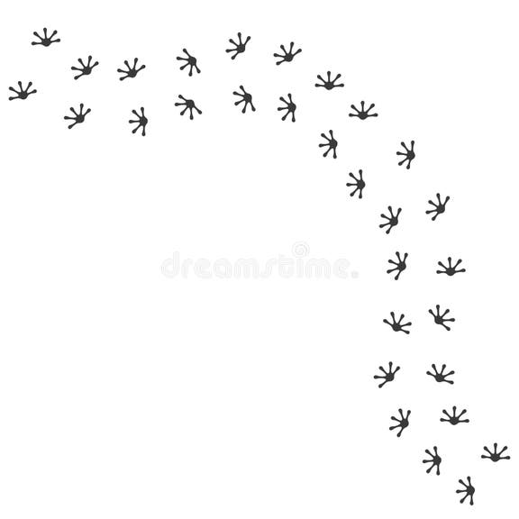 Gecko Footprint Vector Illustration Design Stock Vector - Illustration ...