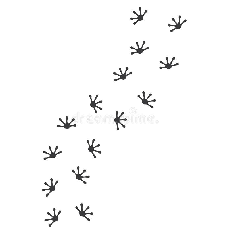 Gecko Footprint Vector Illustration Design Stock Vector - Illustration ...