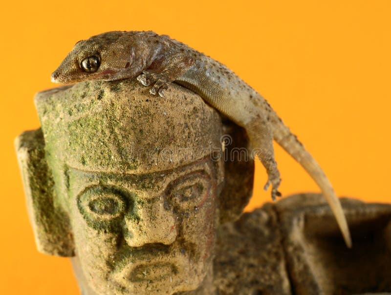 Gecko Lizard and Mayan Statue Stock Image - Image of close, green ...