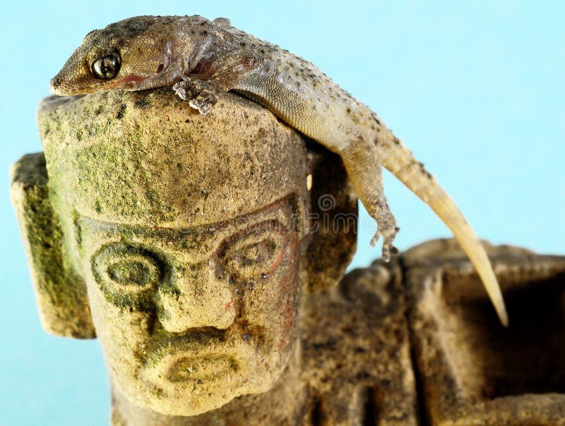 Gecko Lizard and Mayan Statue Stock Image - Image of macro, color ...