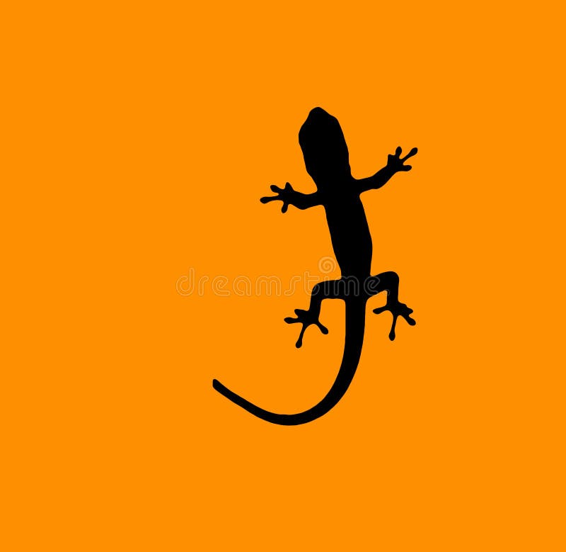 Gecko Orange Picture. Image: 2085029