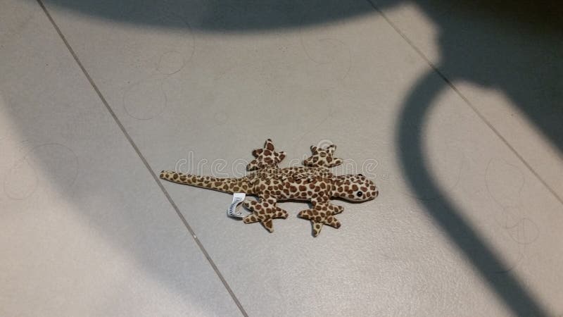 Gecko Puppet Stock Photos - Free & Royalty-Free Stock Photos from ...