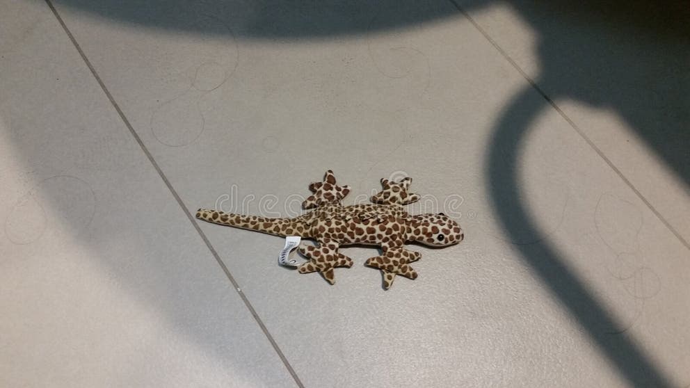 Gecko puppet stock image. Image of shadow, gecko, animalthemes - 95680593