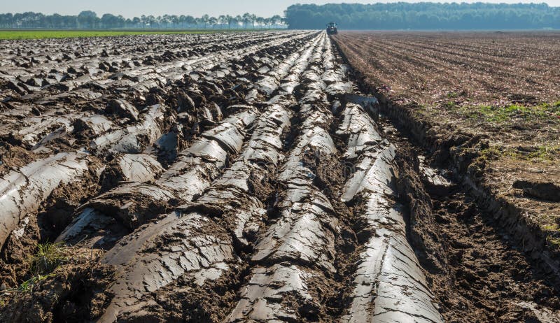 Close-up Van Geploegde Zware Klei Stock Afbeelding - Image of organisch ...