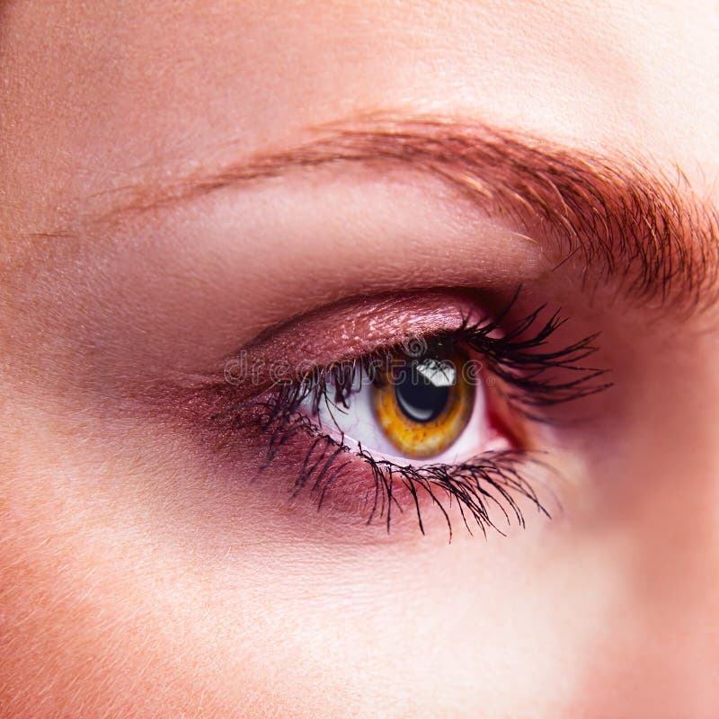 Geel oog stock afbeelding. Image of gezicht, leuk, macro - 28401449