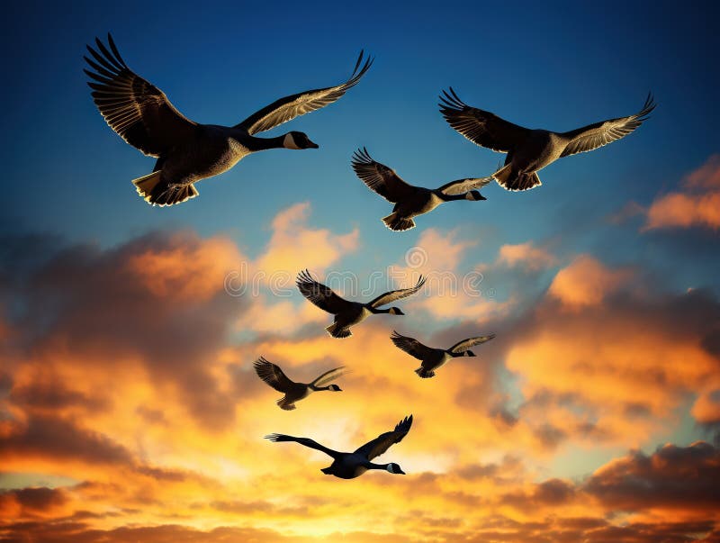 Ai Generated Illustration Wildlife Concept of Geese in Flight Stock ...