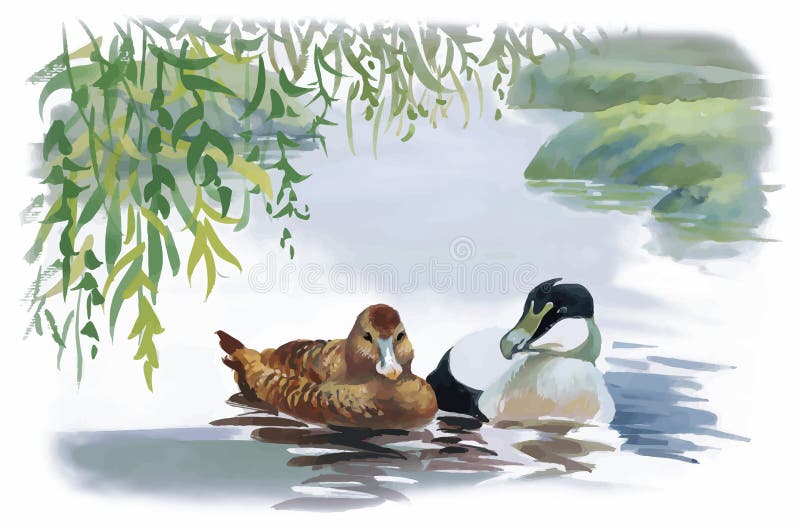 Geese Flock Swimming on Pond Watercolor Vector Illustration Stock ...