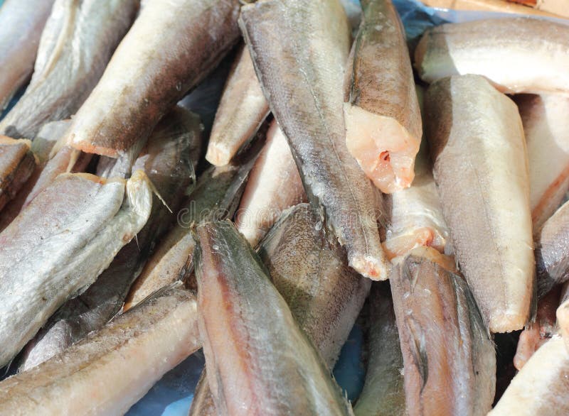 Gefrorene Fische stockfoto. Bild von abendessen, eisig - 25639948