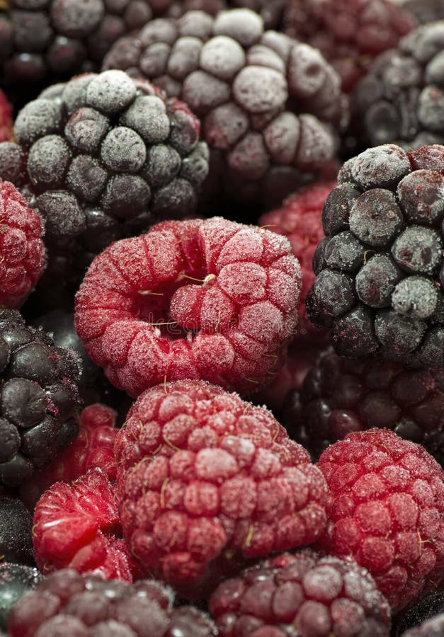 Fotos - Kostenlose und Royalty-Free Stock-Fotos von Dreamstime